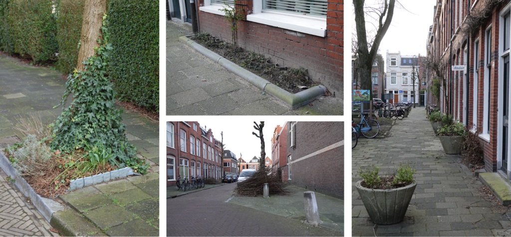 Oosterpoort Duurzaam » Team Groen